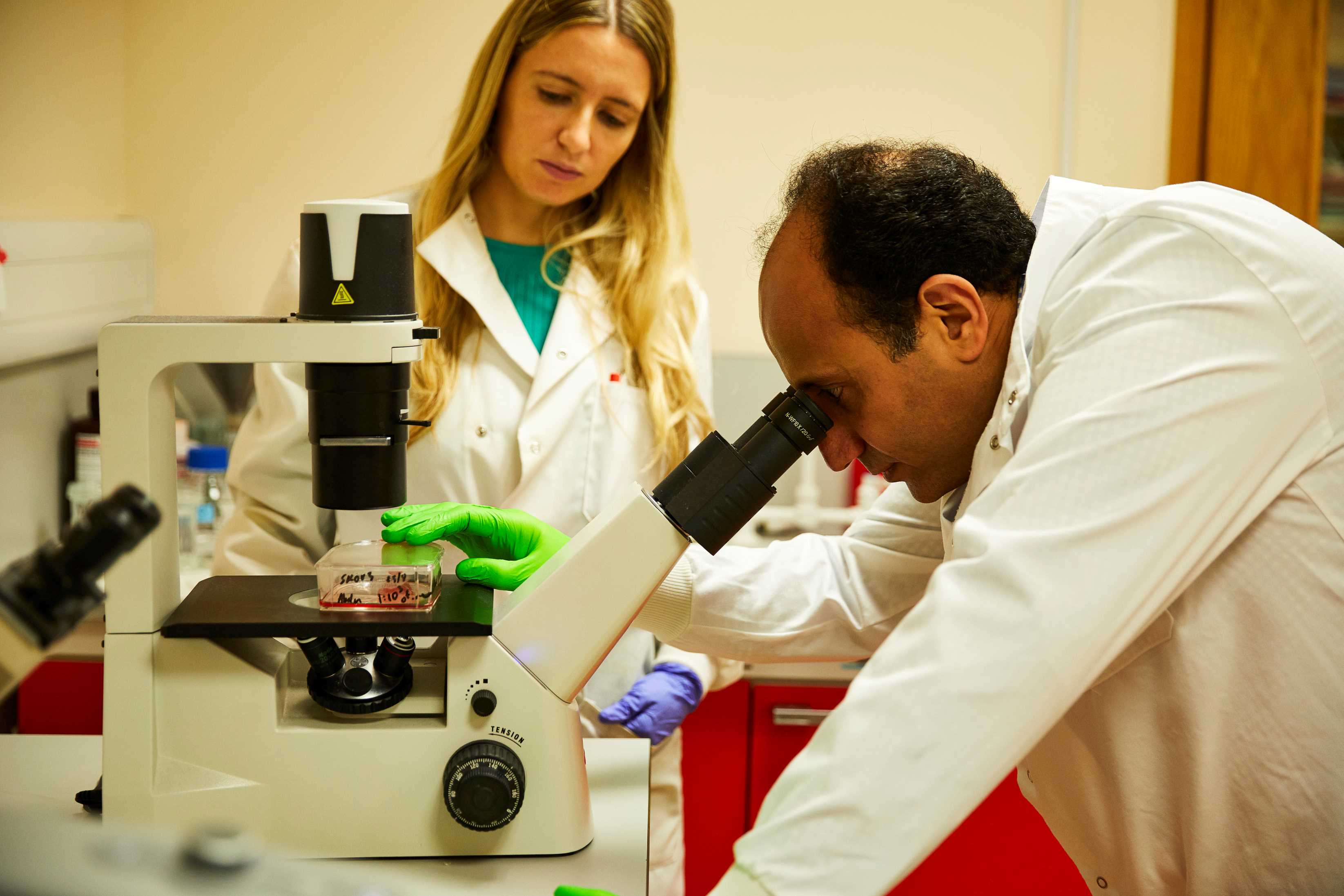 Ovarian Cancer Action | Donate